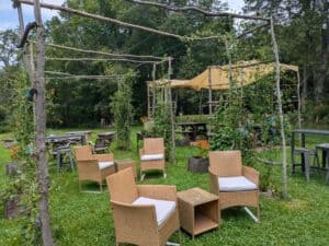 Weiss Ferments - Jen's Hoppy Hour